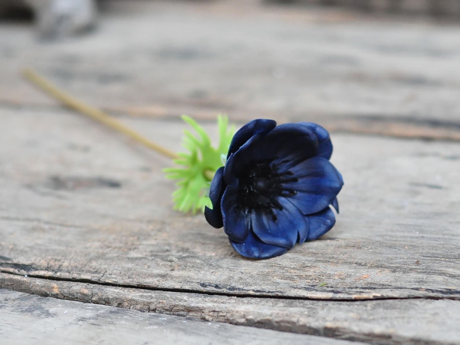 Real Touch Royal Blue Anemones/navy Blue Anemones/white Anemones/diy ...