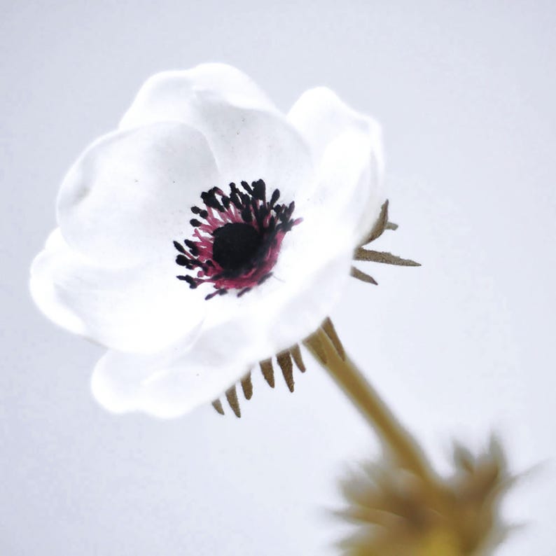 White Anemones,real Touch White Anemones,navy Blue Anemones,anemones ...