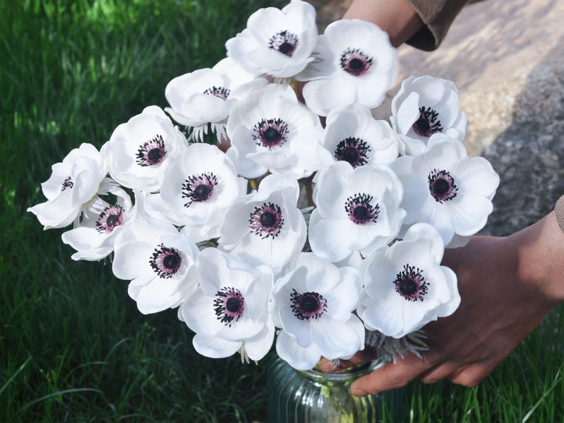 White Anemones,real Touch White Anemones,navy Blue Anemones,anemones ...