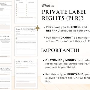 PLR / Resell Self-reflection Journal for Commercial Use, Printable and ...