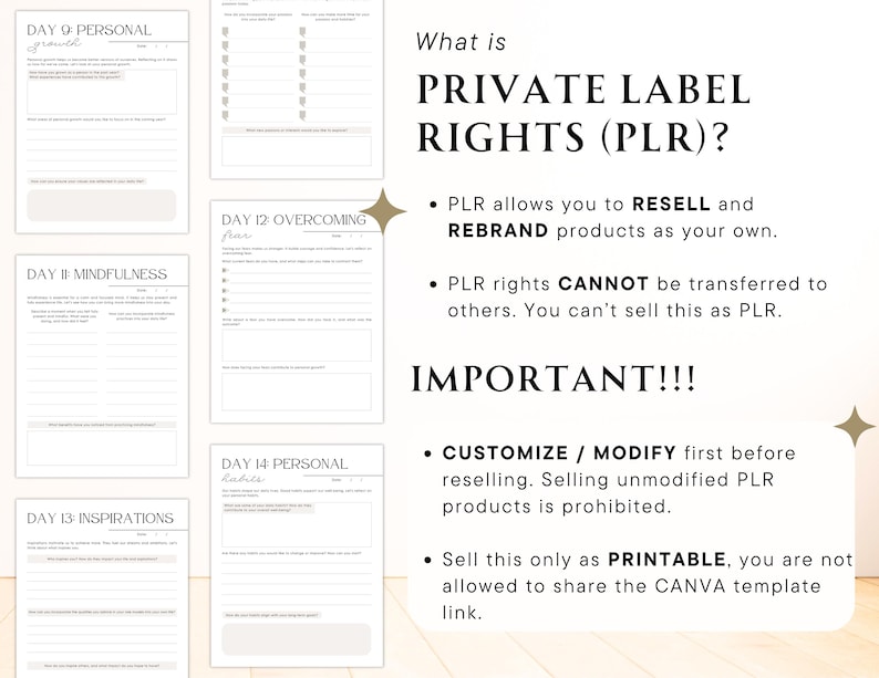 PLR / Resell Self-reflection Journal for Commercial Use, Printable and ...