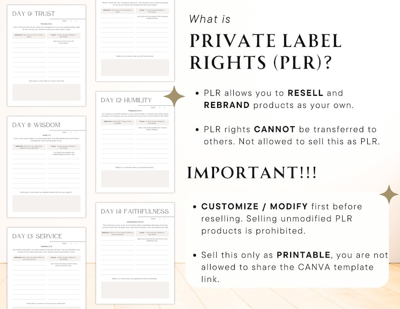 PLR / Resell 30-day Devotional Journal for Commercial Use, Printable ...