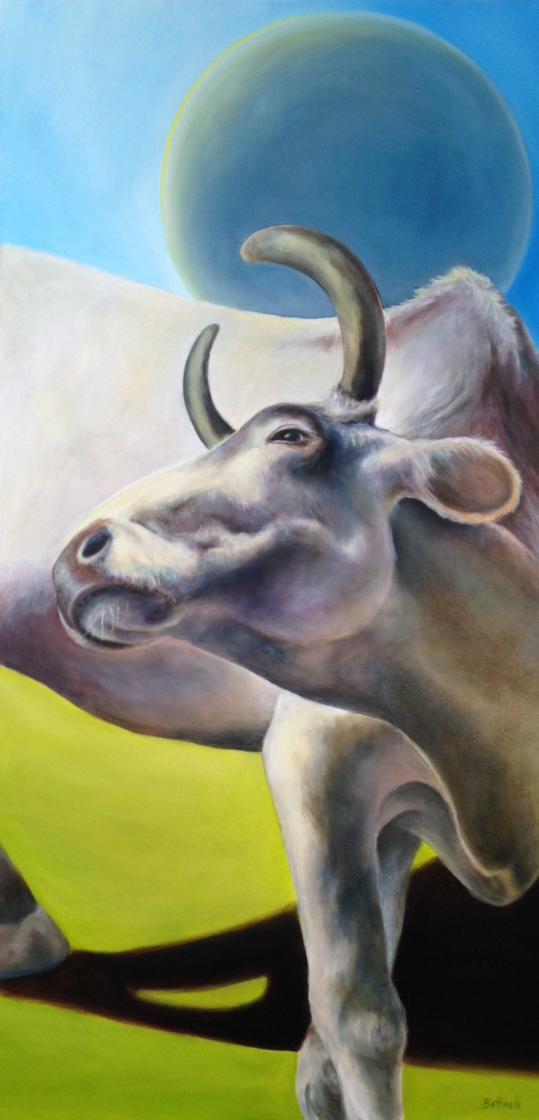 Titan - Signed Art Print of Cow - Etsy
