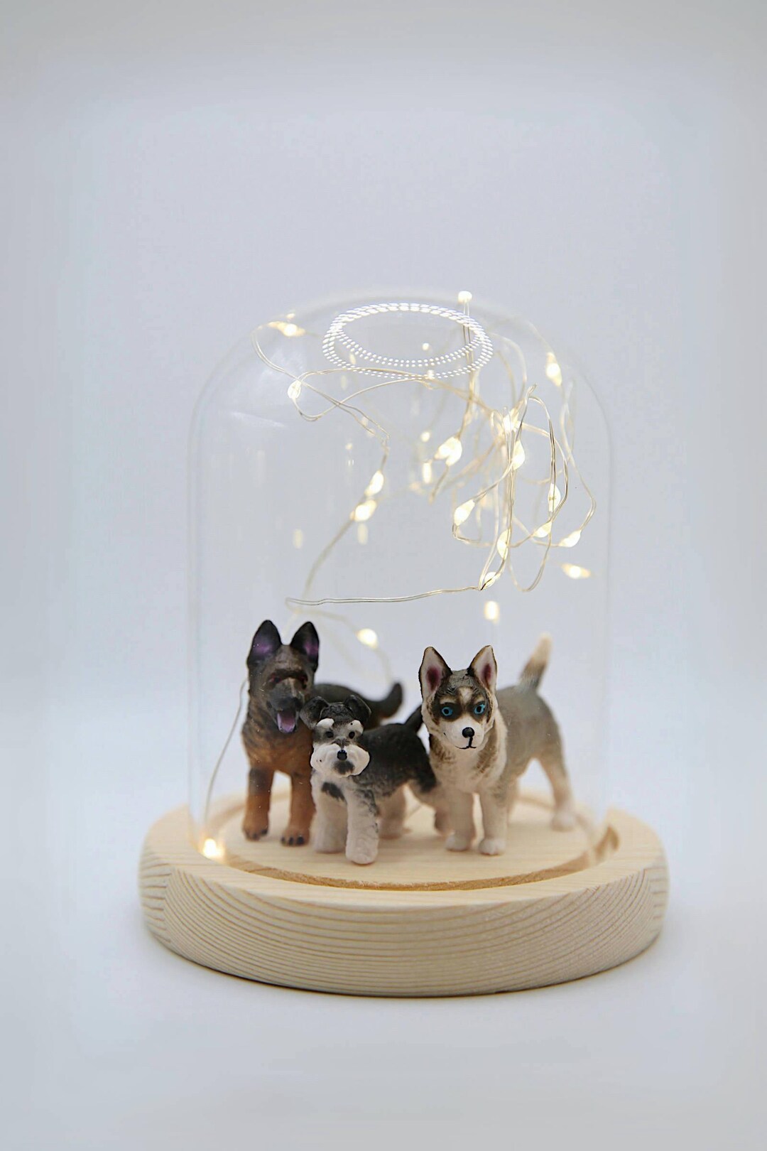 LED Glass Display Dome With Wood Base - Optional Miniature Dog - Etsy