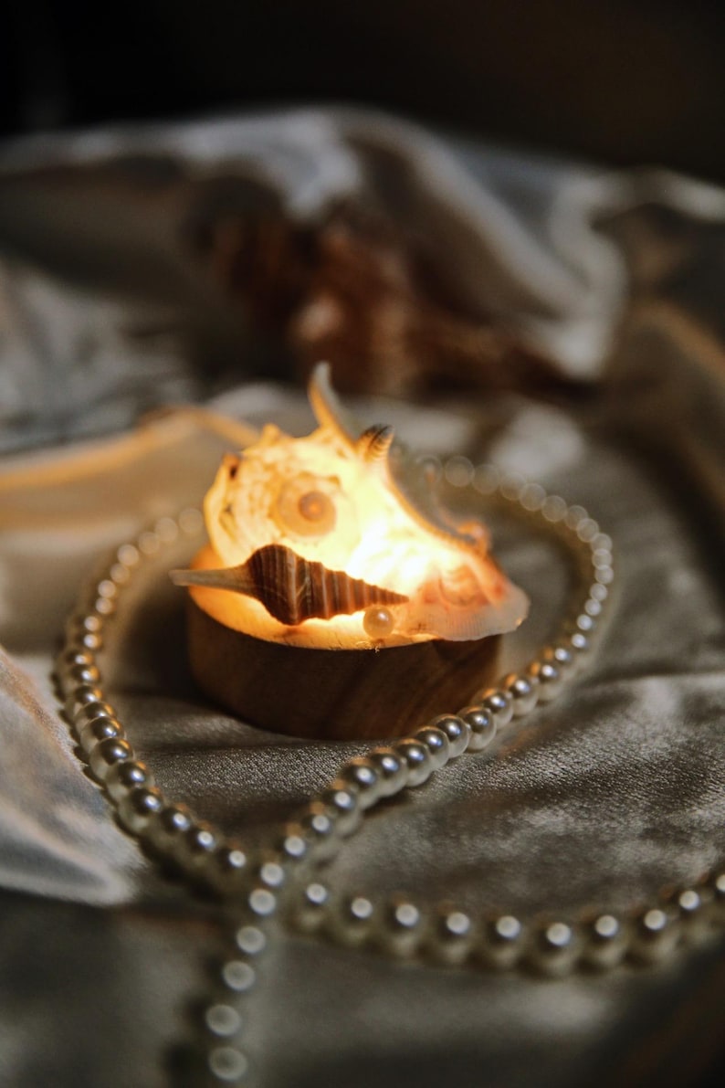 Family DIY Seashell Starfish Night Light Kit - Easy 5-minute Craft USB ...