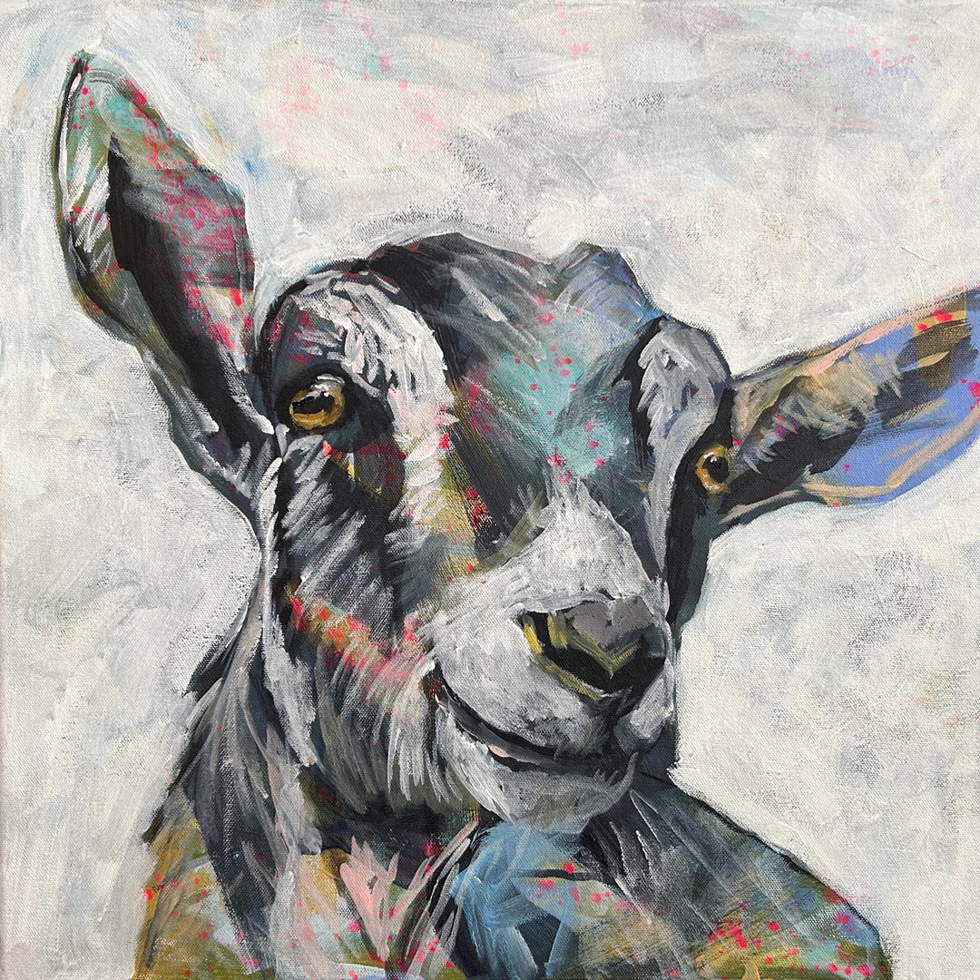 Original Painting - Goat - Acrylic on 20" X 20" Canvas - Etsy