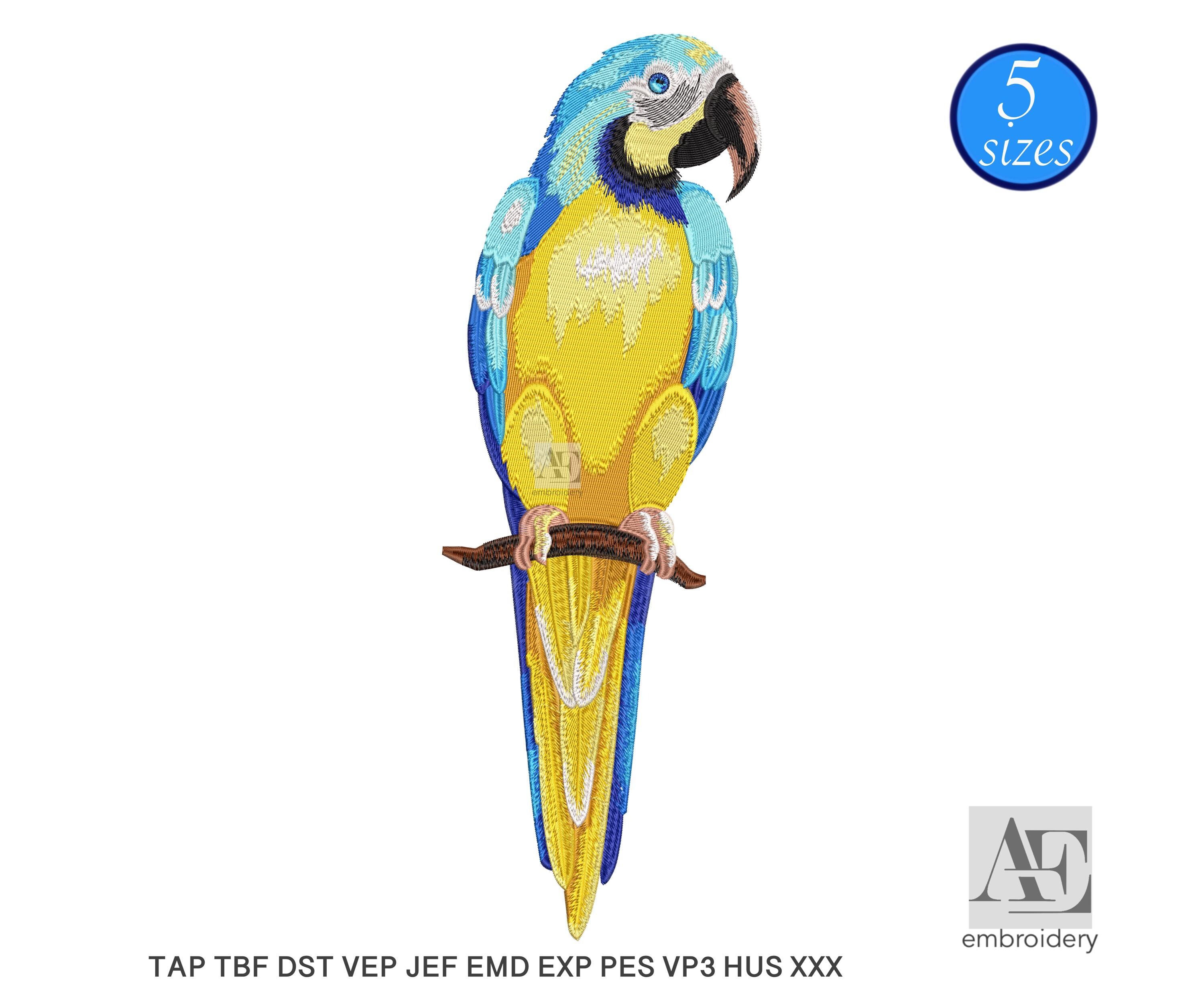 Macaw Parrot Machine Embroidery Design: Tropical Bird Pattern, Ara ...