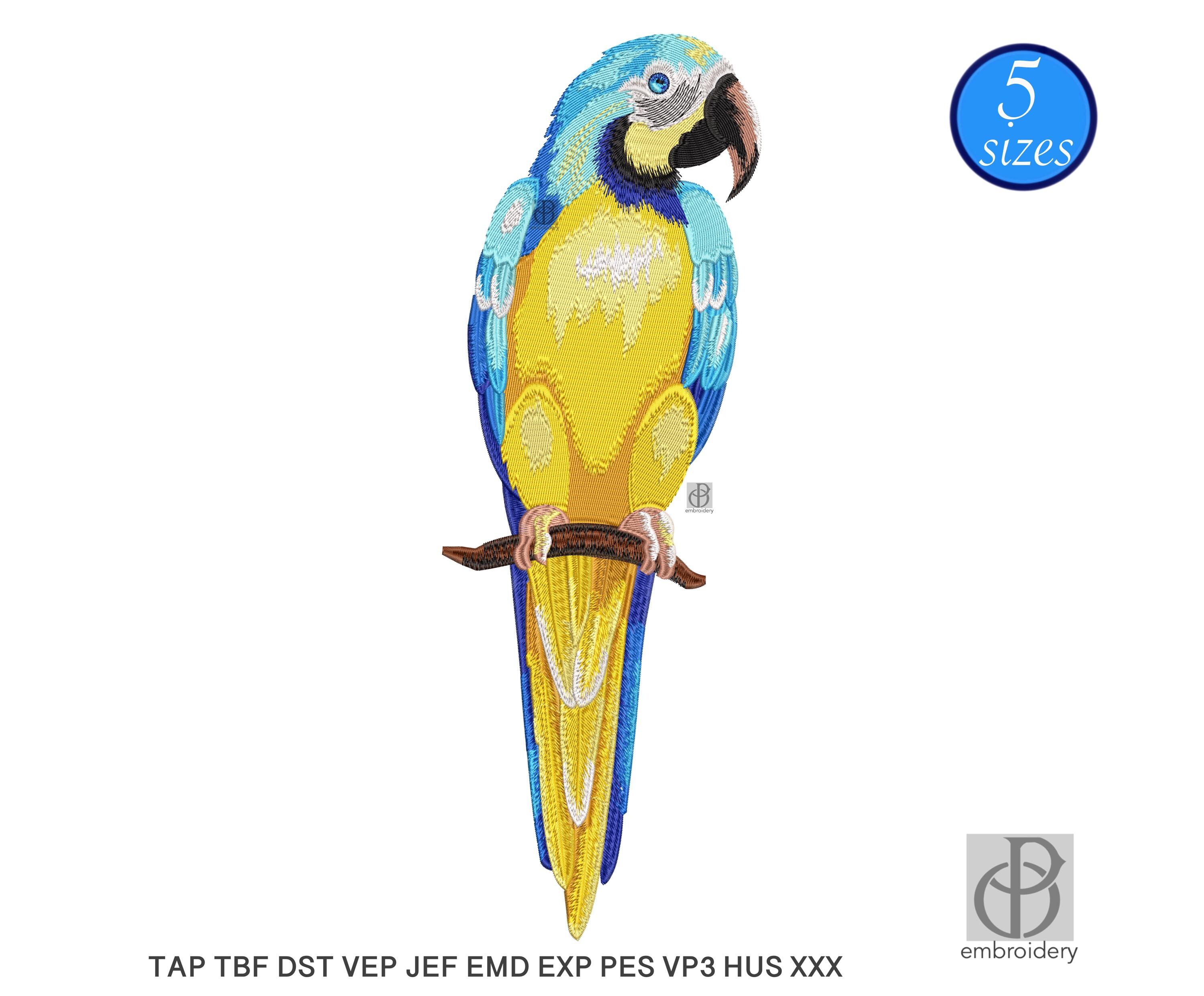 Macaw Parrot Machine Embroidery Design Tropical Blue Yellow Bird ...