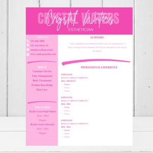 Pink Resume Template Canva 1 Page pink Professional Resume Canva ...