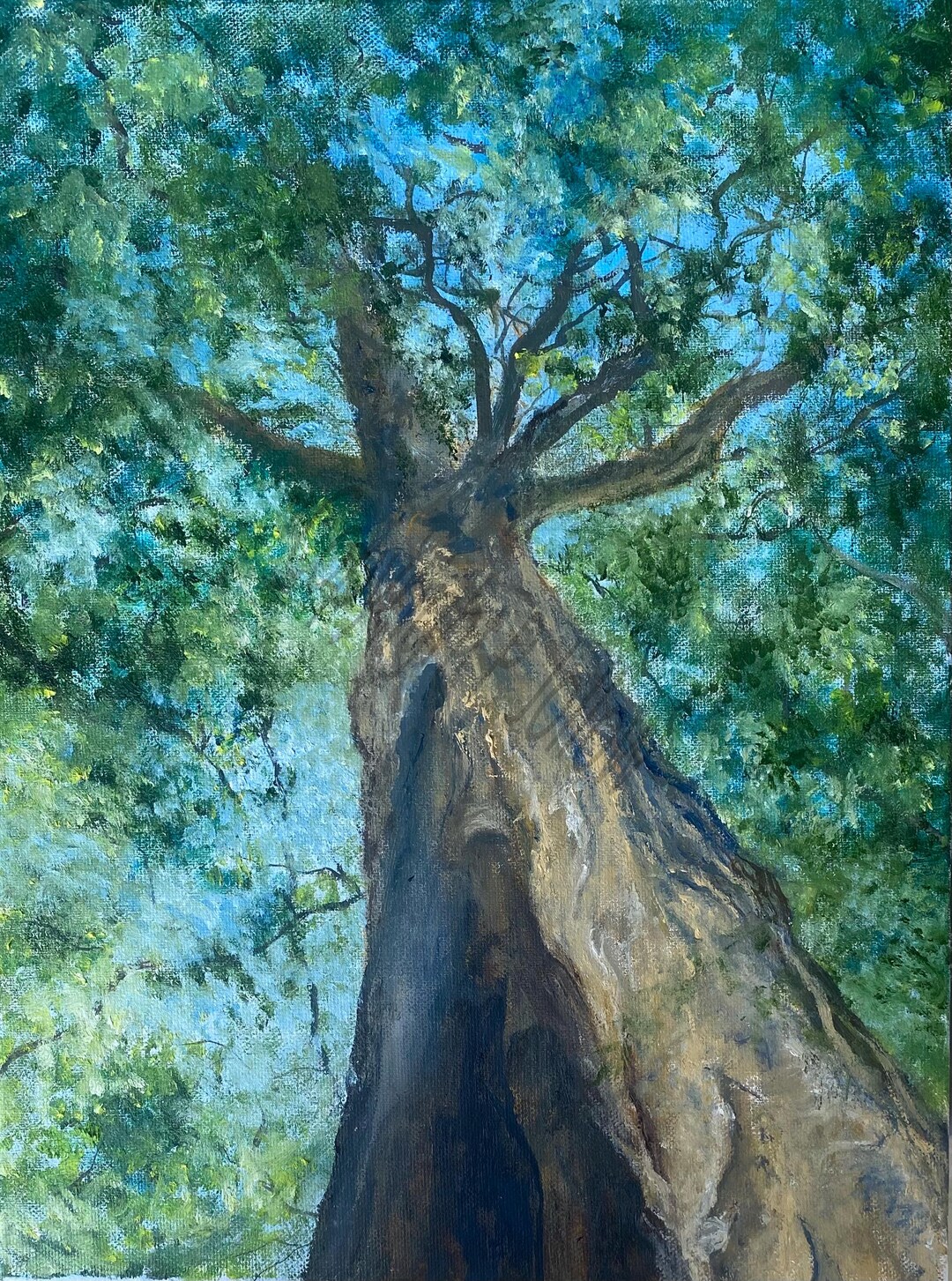 Prickly Paper Bark Tree Oil on Canvas 40cm X 30cm - Etsy