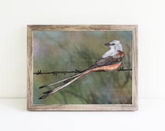Scissortail Art | Etsy