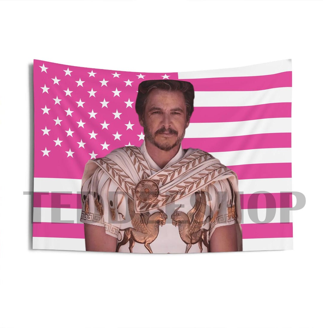 Pedro Pascal Pink USA America Flag, Art Home Decor - Etsy