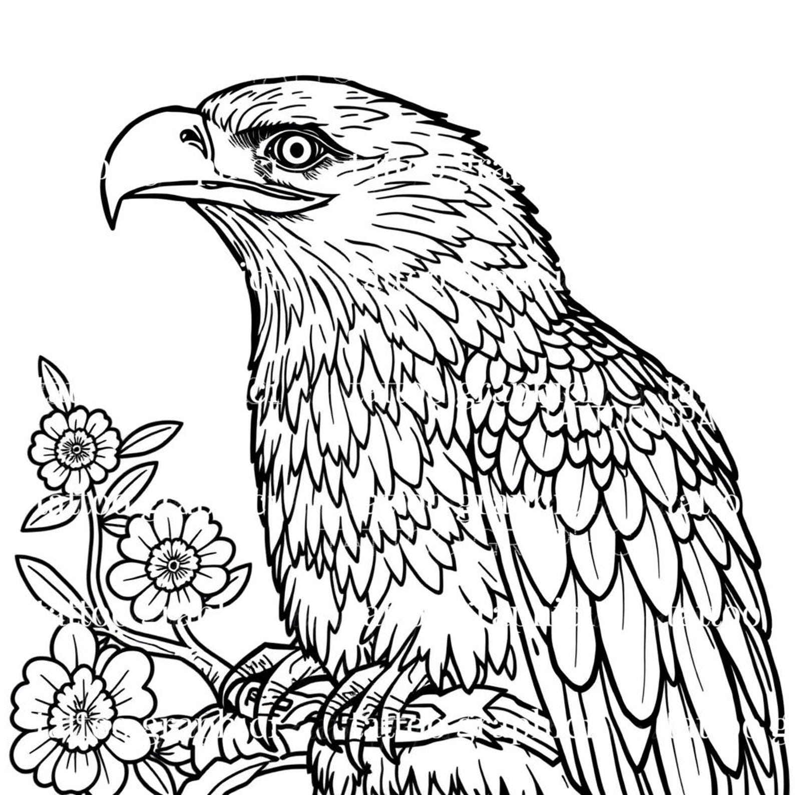 Eagle Printable Coloring Pages | 100 Page Adult Coloring Book | Stress ...