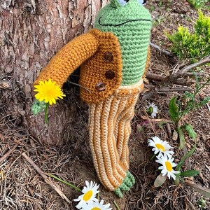 2 in 1 - Frog and His Friend Pattern Set With the Clothes Included ...