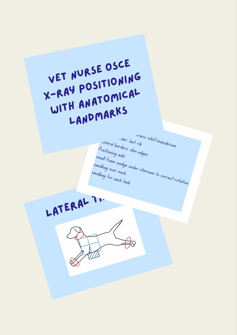 Veterinary Nurse OSCE X-ray Guide | Comprehensive Study Aid for Vet ...