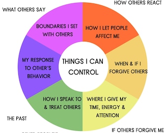 Things I Can Control Vs. Things I Can’t Control Sorting Activity - Etsy