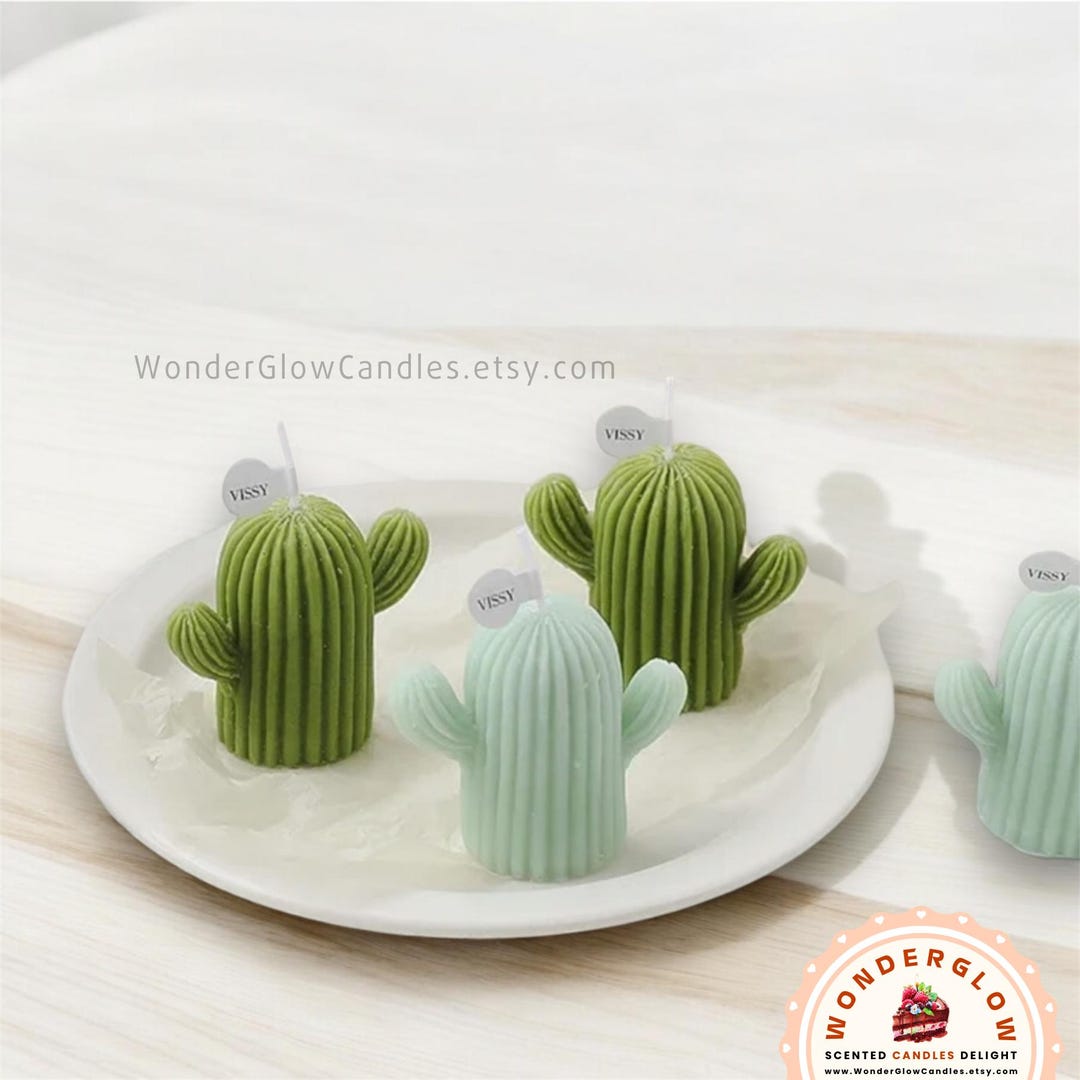 Cactus Handle Scented Paraffin Wax Candles - Ideal for Birthday Gifts ...