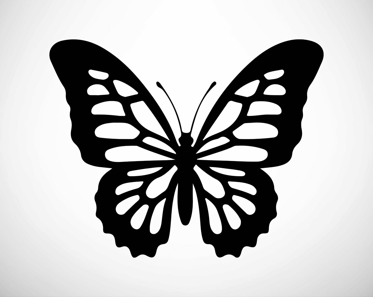 Butterfly SVG & PNG - Delicate Line Art for Crafts, Apparel, and Home ...