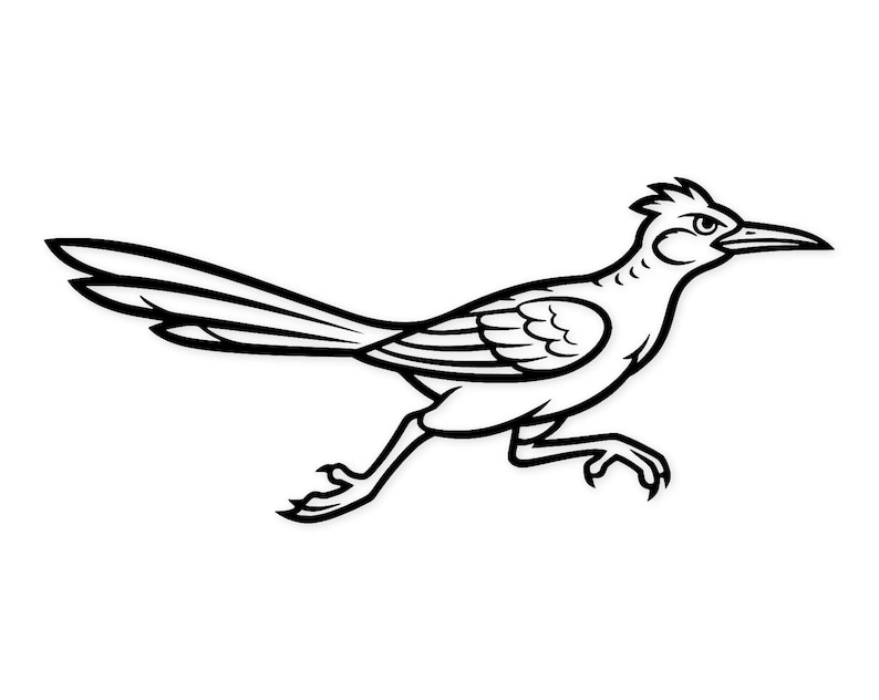 Roadrunner Svg Png: Cut Ready Digital Design for Cricut Silhouette - Etsy