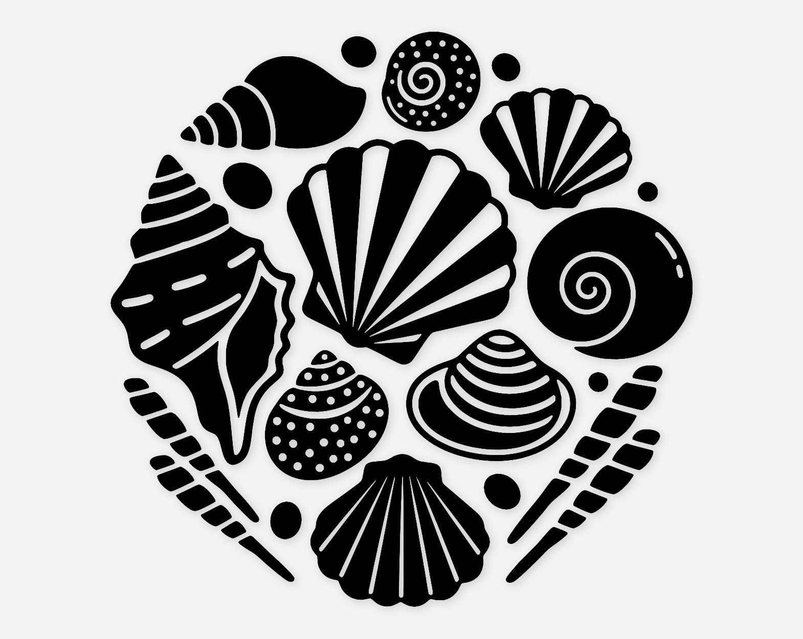 Seashell Collection Svg Png: Cut Ready Digital Design for Cricut ...