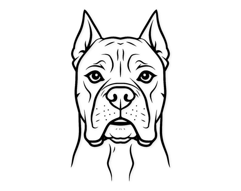 Boxer Face Svg Png: Cut Ready Digital Design for Cricut Silhouette ...