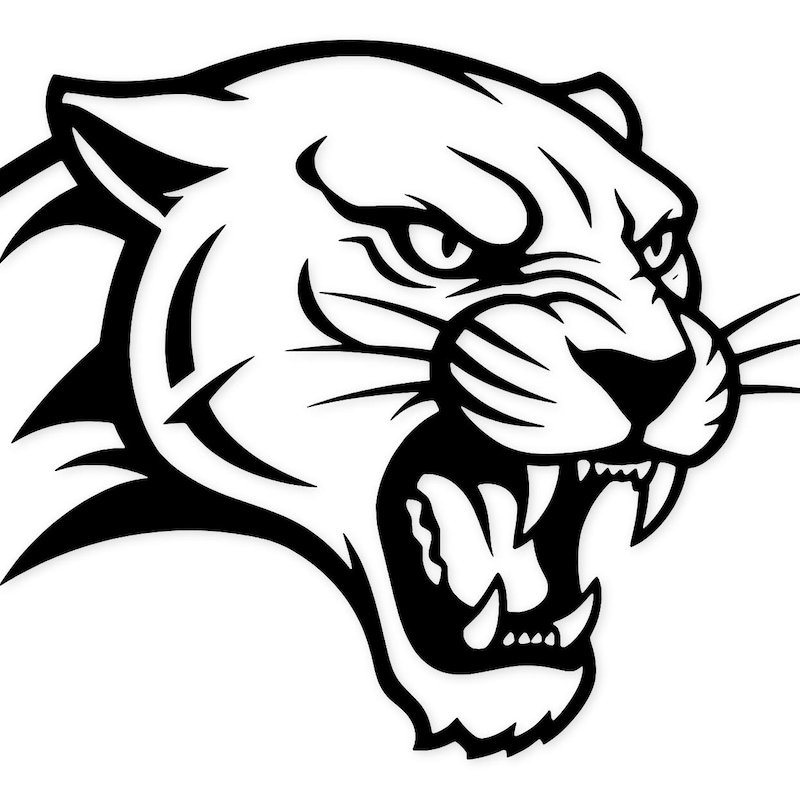 Panther Head Drawing - Etsy UK