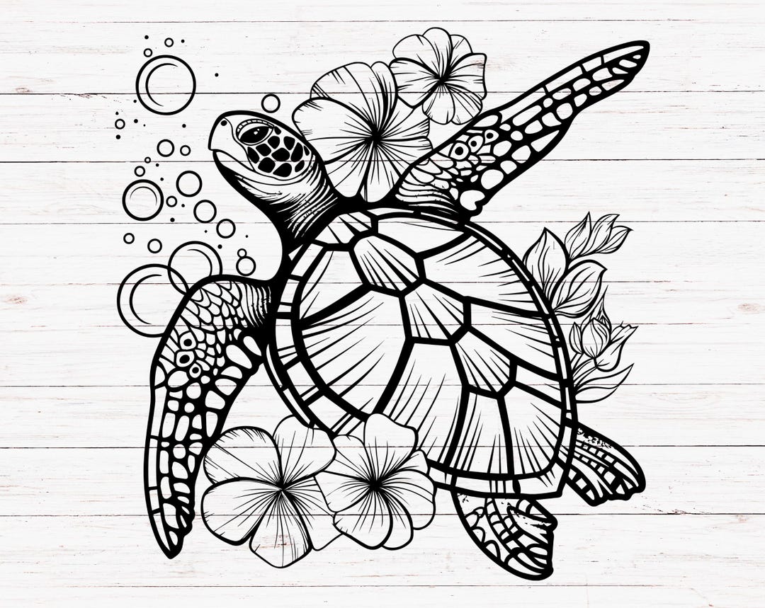 Turtle Svg, Turtle Png, Turtle Outline Svg, Sea Turtle Svg, Cricut Sea ...