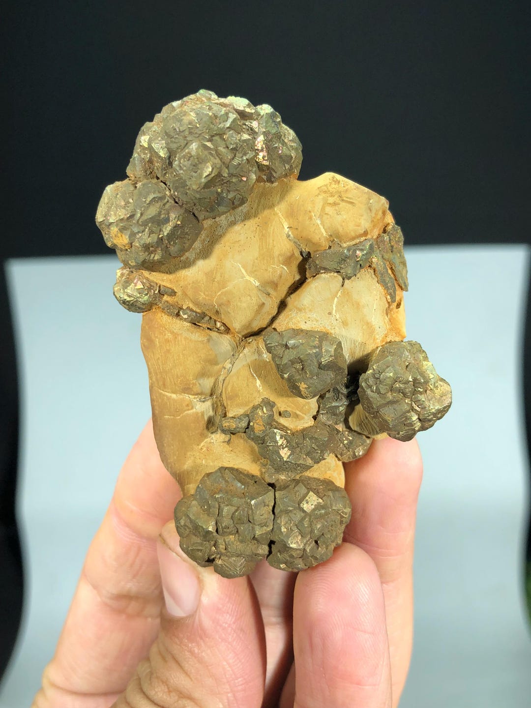 Natural Pyrite on Limonite Matrix, Pakistan Mineral Specimen (142 Grams ...