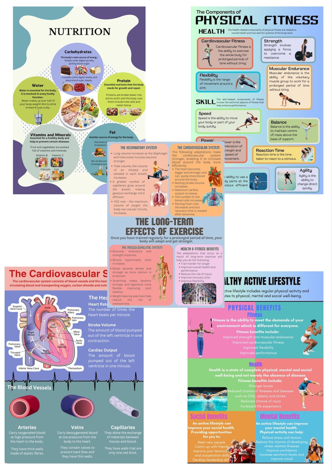 Health Education Poster - Etsy