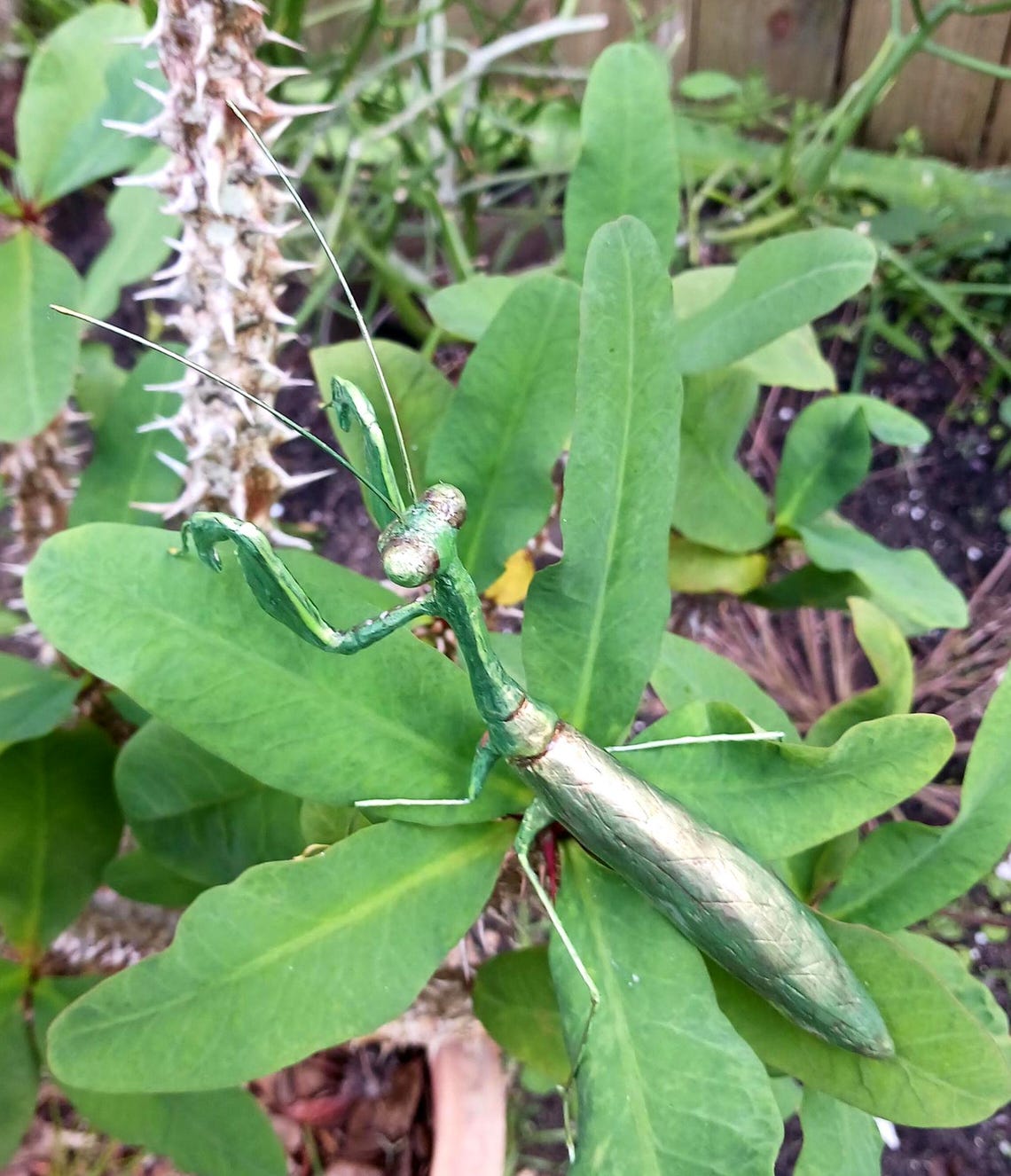 Realistic Lifelike Handcrafted Clay & Wire Praying Mantis Sculpture - Etsy