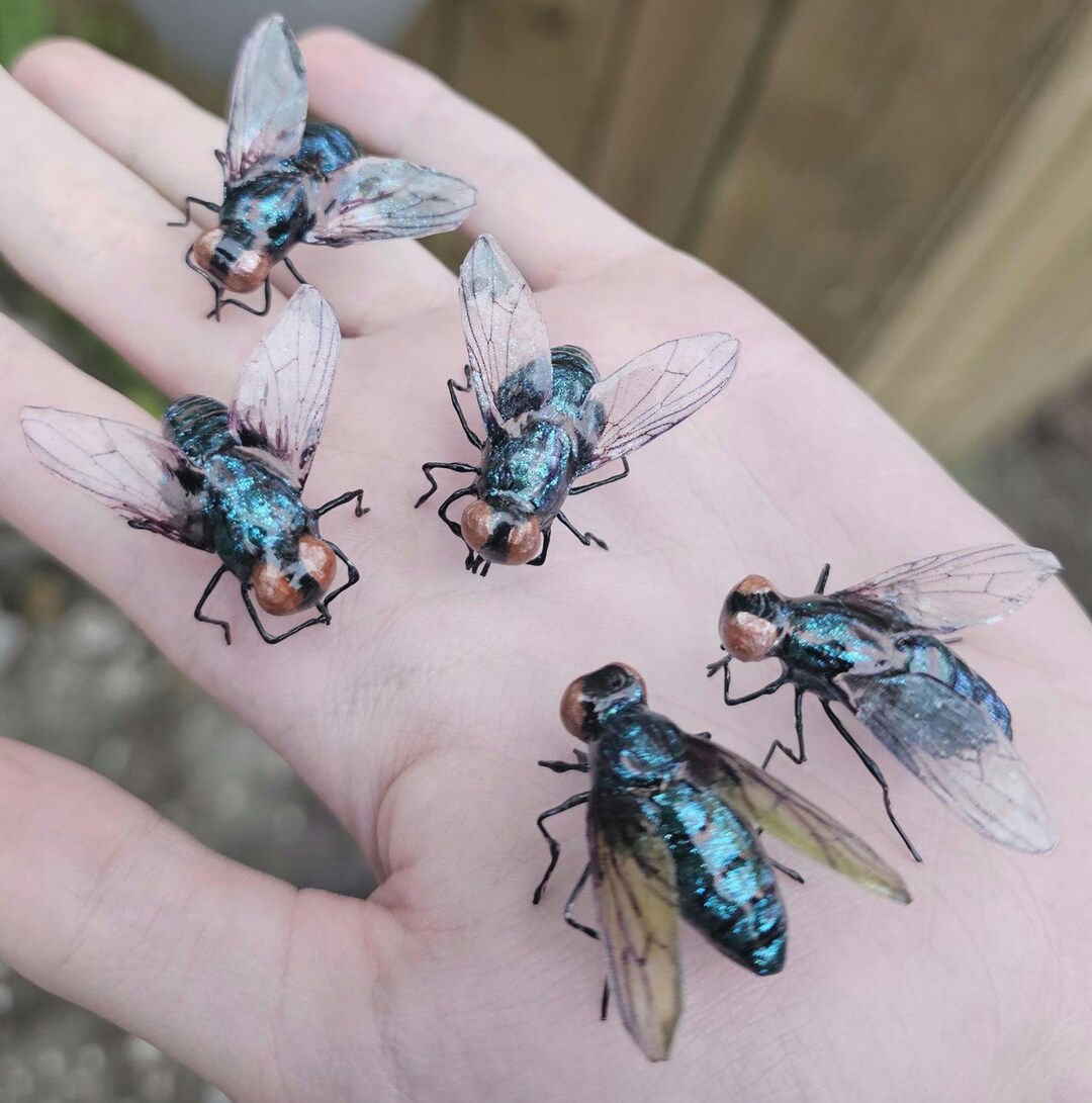 Realistic Handmade House Fly Sculpture - Etsy