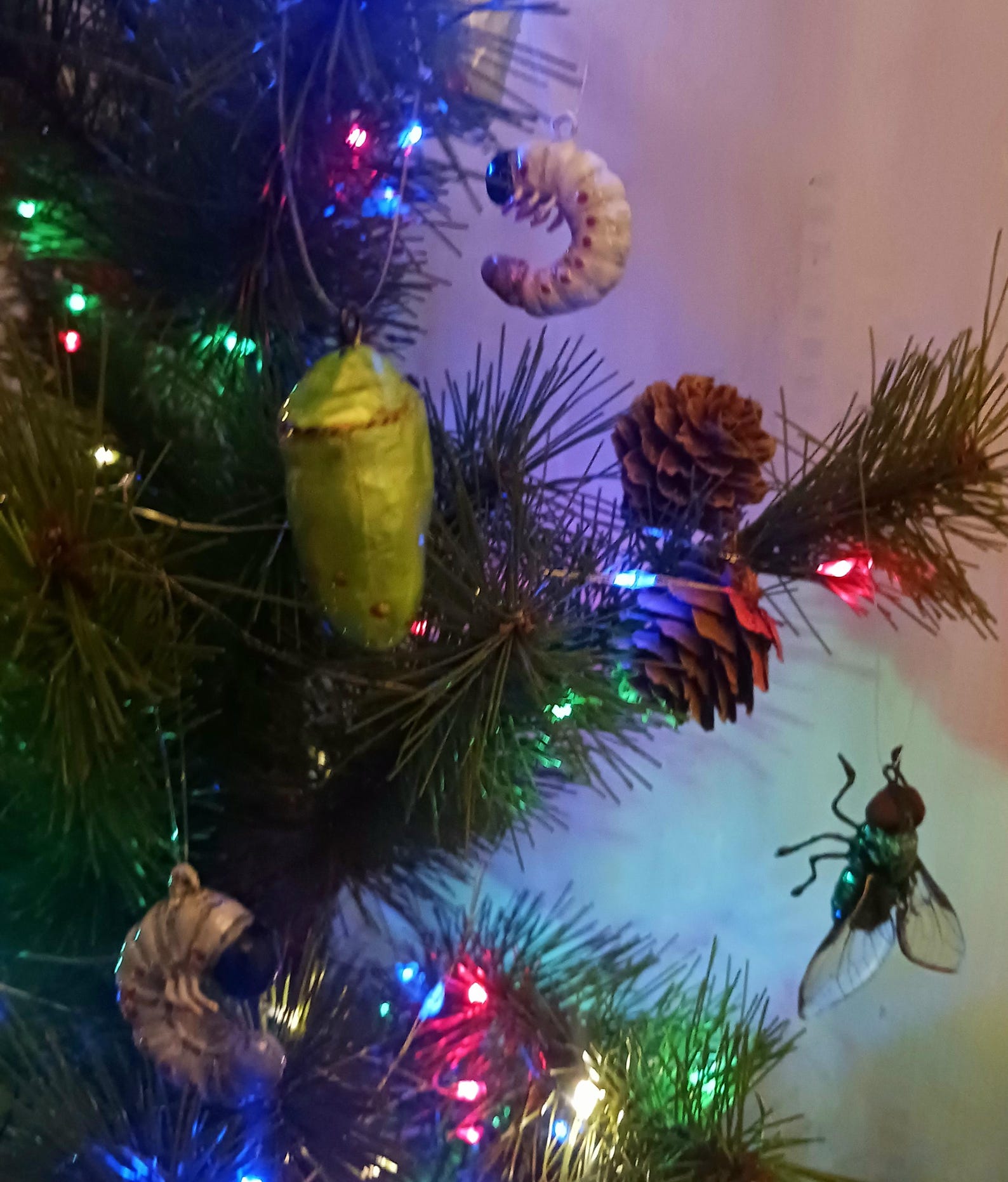 Handcrafted Realistic House Fly, Grub, or Chrysalis Hanging Ornaments ...