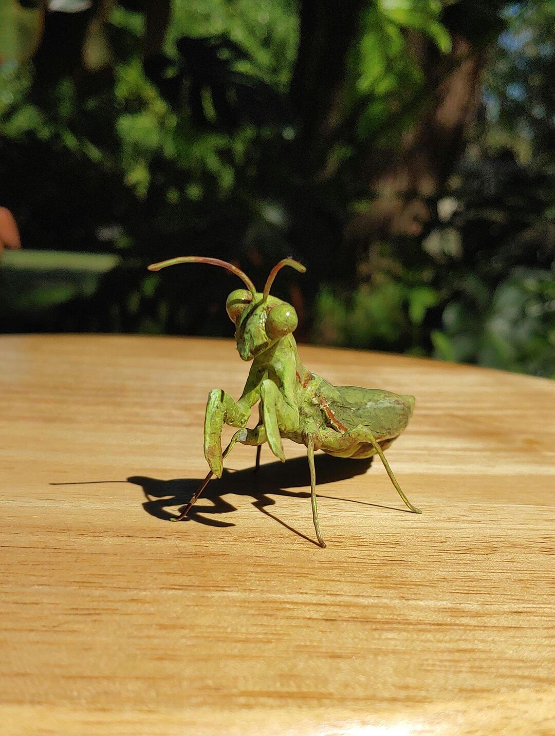 Handmade Green Praying Mantis Model - Etsy