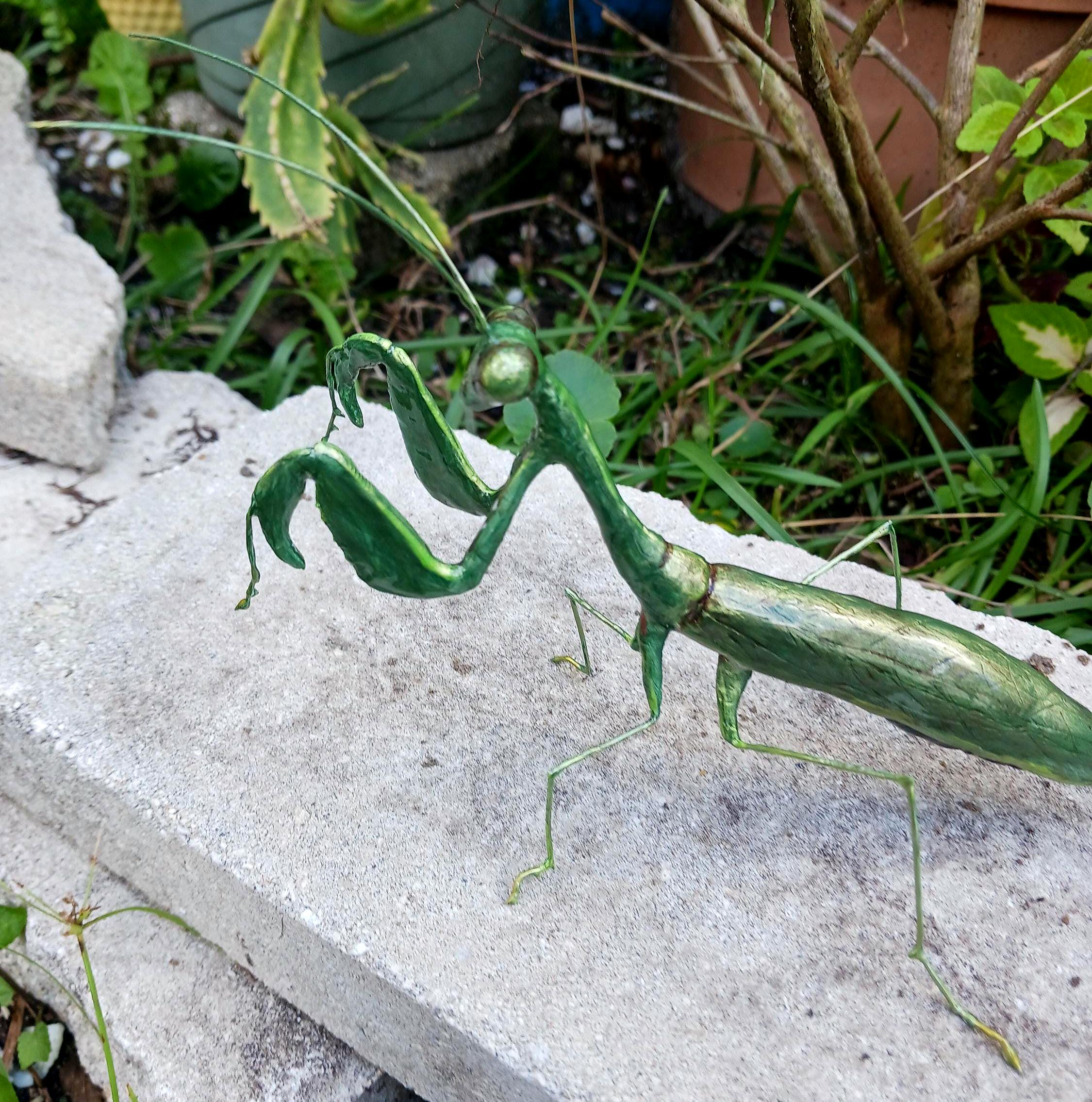 Realistic Lifelike Handcrafted Clay & Wire Praying Mantis Sculpture - Etsy