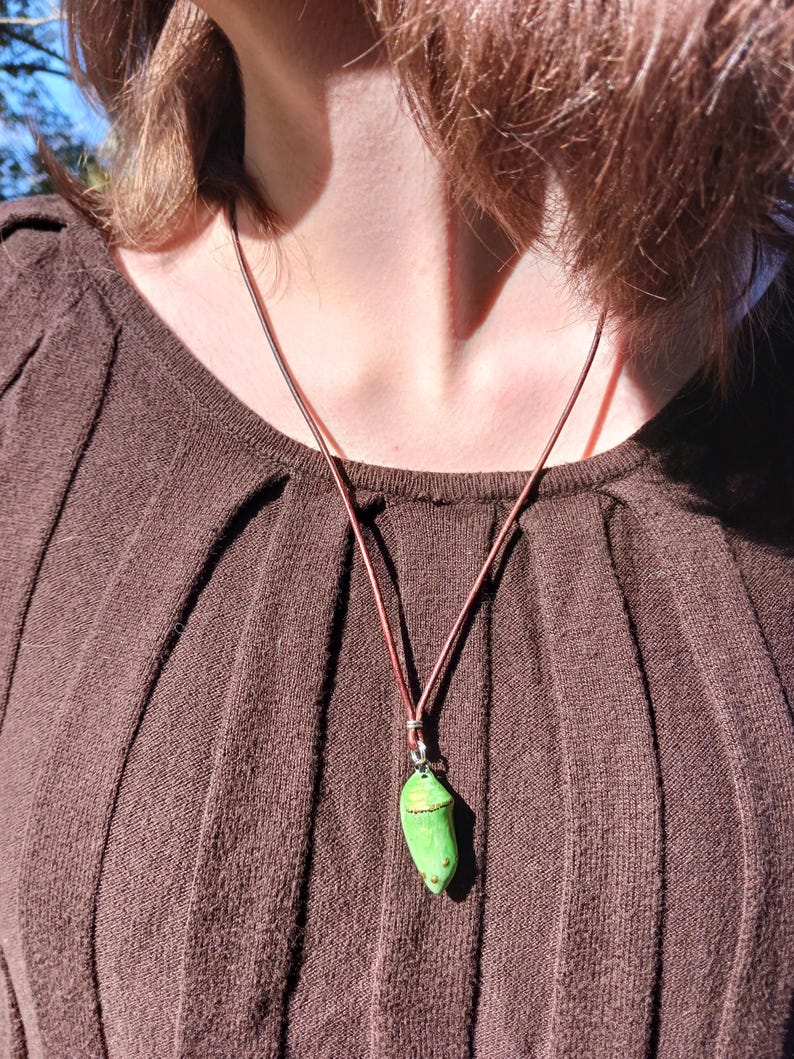 Handcrafted Realistic House Fly, Grub, or Chrysalis Hanging Ornaments ...
