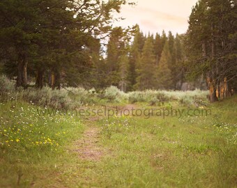 Autumn Field / Fall Digital Backdrop / Digital Background / - Etsy