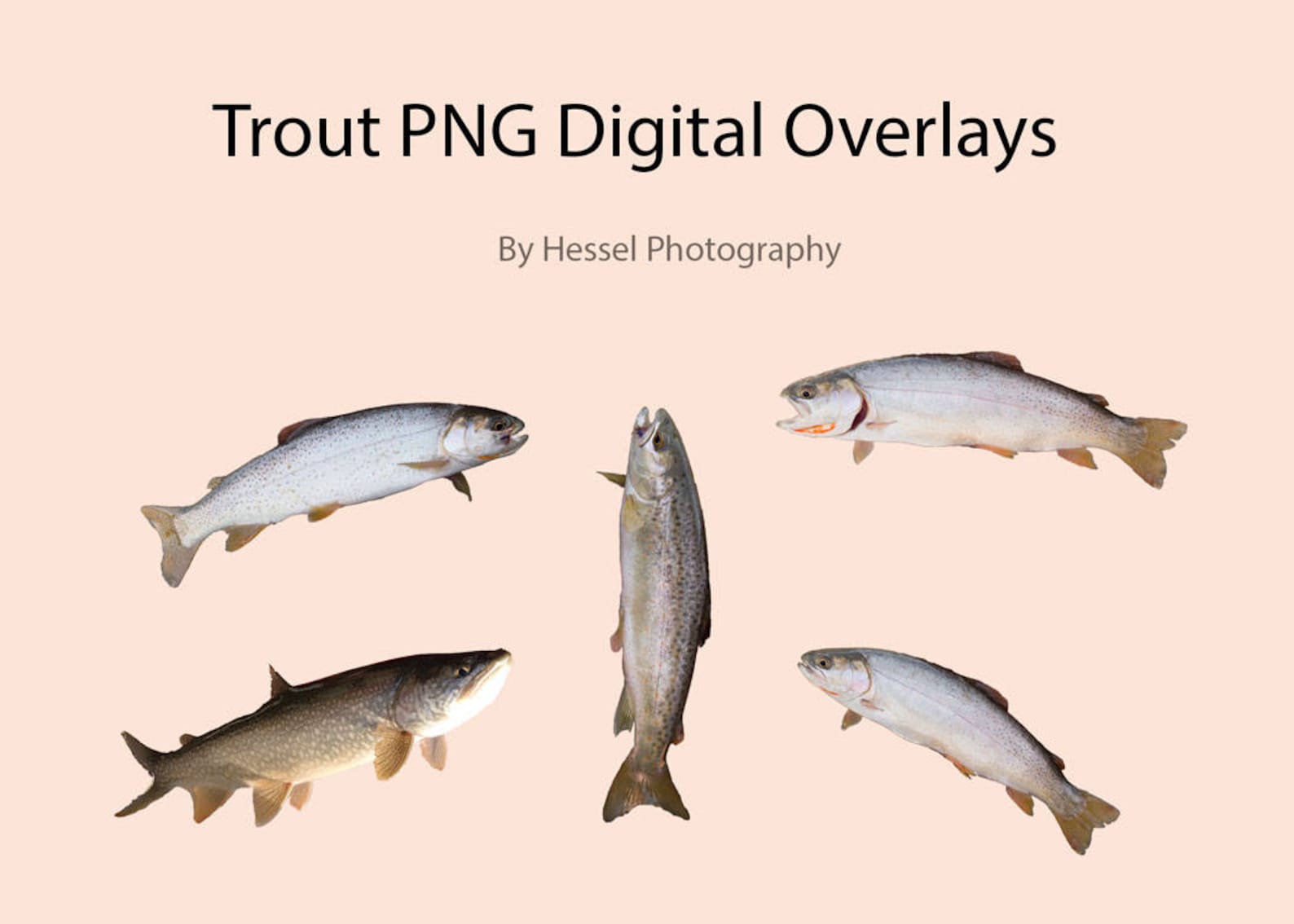 Fish PNG Digital Overlay Photoshop Overlays Trout Stock | Etsy