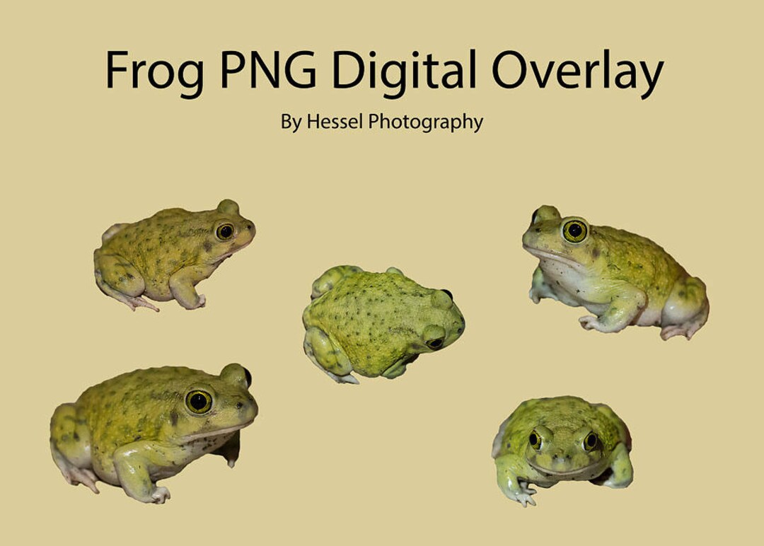 Frog PNG Digital Overlay, Photoshop Overlays, Frog Stock, Digital Frog ...