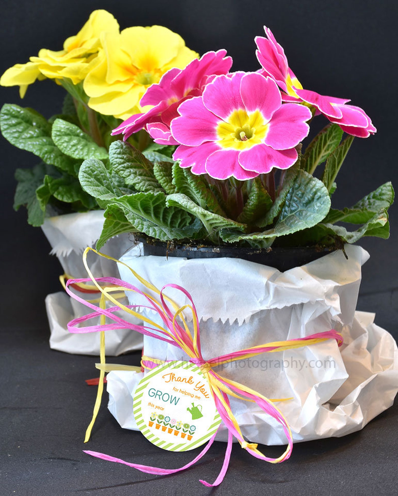 Printable teacher flower tag teacher thank you thank you for | Etsy