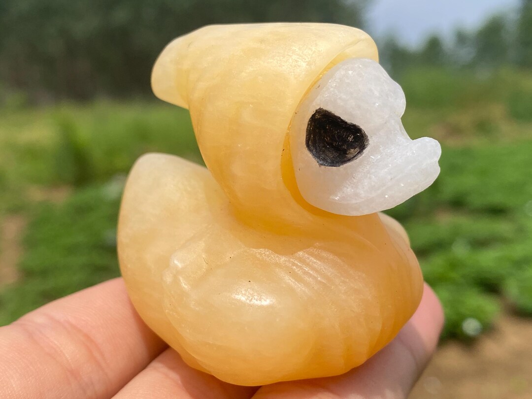 2inche Natural Geode Stone Crystal,hand Carved,crystal Duck,duck Skull ...