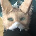Handmade Therian Masks Commissions, Available Now! - Etsy