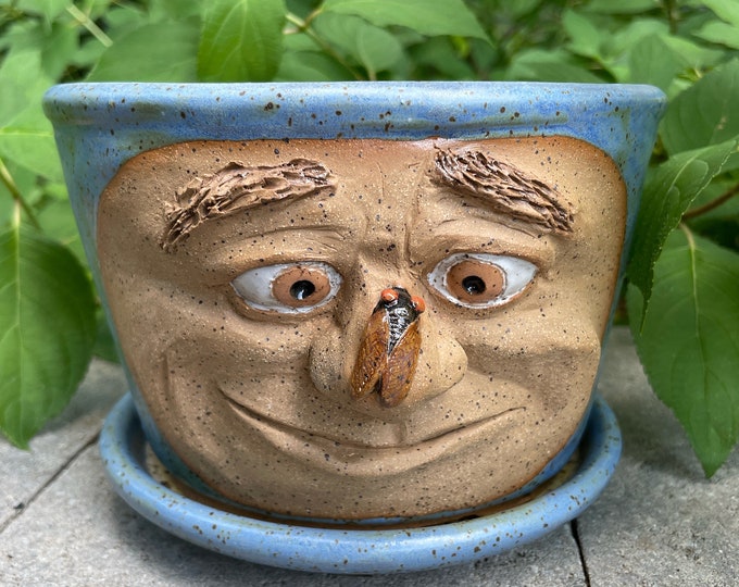 Cicada Planter, Pot Head, Ceramic, Pottery, Hello Cicada - Etsy