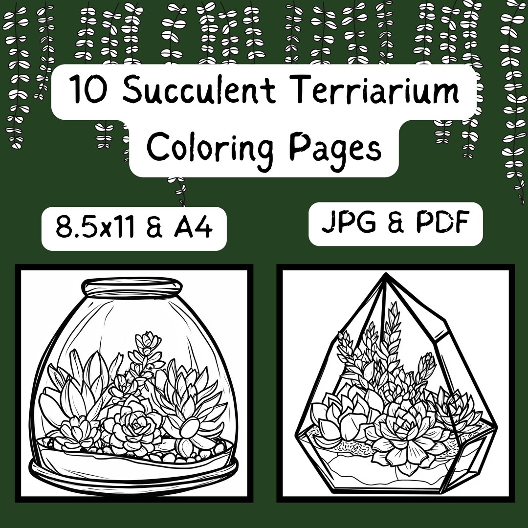 10 Succulent Terrarium Coloring Pages, PDF, JPG, 8.5"x11" and A4 Sizes ...