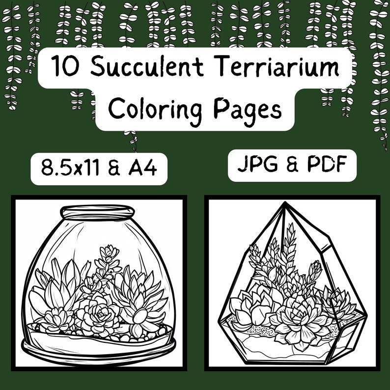 10 Succulent Terrarium Coloring Pages, PDF, JPG, 8.5"x11" and A4 Sizes ...