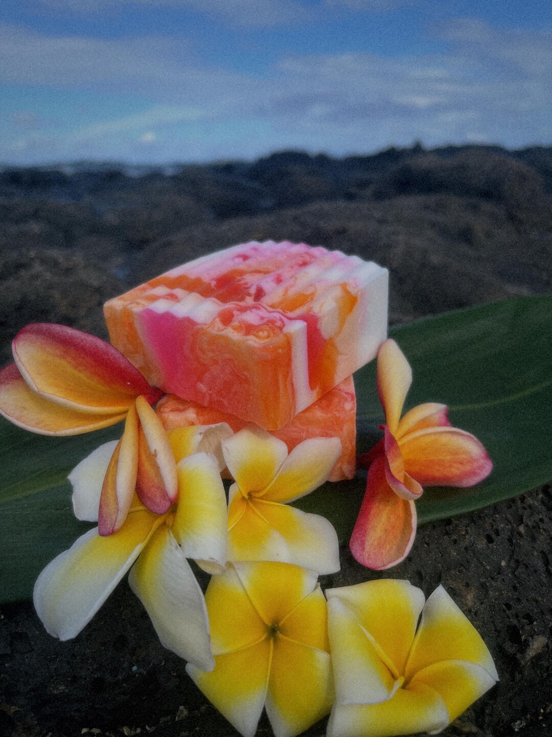 Plumeria : Hawaiian Soap Bar - Etsy