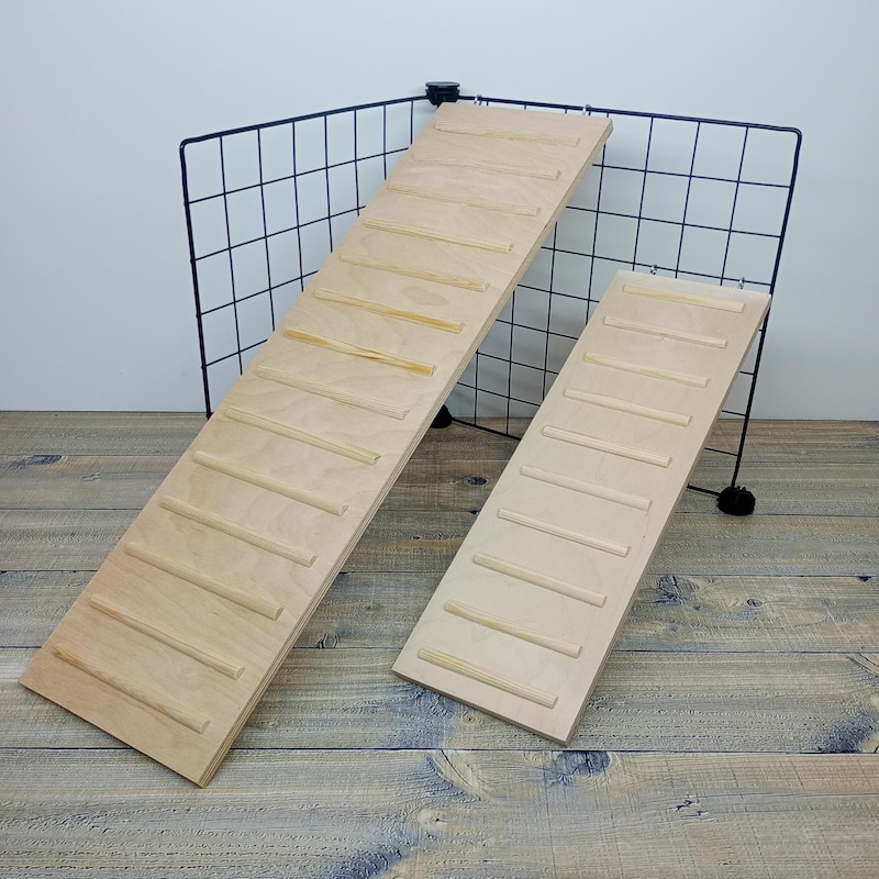 Guinea Pig Ramp - Etsy