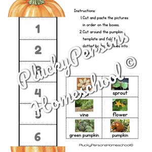 Pumpkin Life Cycle Activity - Etsy