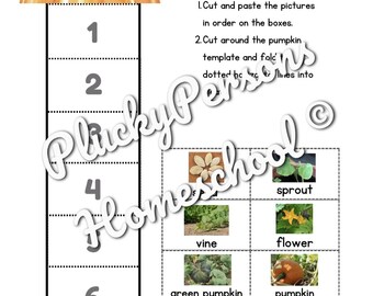 Pumpkin Life Cycle Clip Art Instant Download Educational Clipart Learn ...