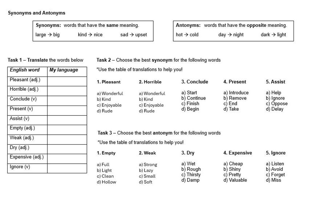 Synonyms and Antonyms Practice Worksheet - Etsy