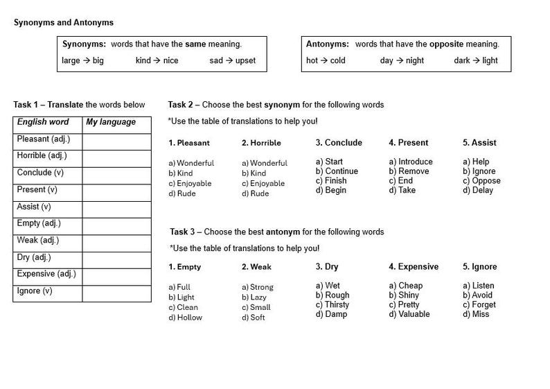 Synonyms and Antonyms Practice Worksheet - Etsy